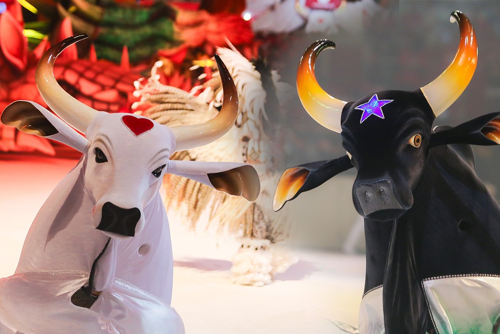 5 curiosidades sobre o Festival de Parintins