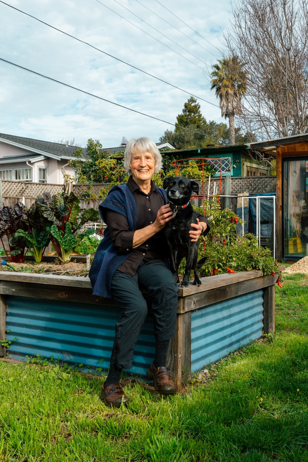 Bienal de Arquitetura de Veneza 2025: o que você precisa saber sobre a ...