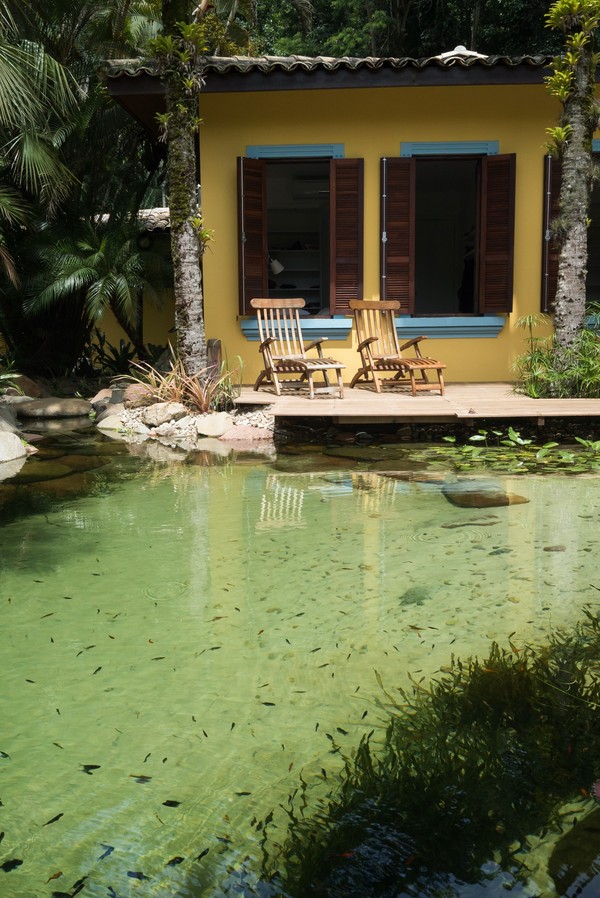 Lago ornamental: tudo que você precisa saber para embelezar seu jardim