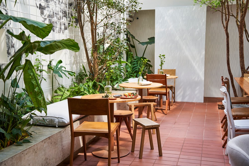 Onde comer bem: 12 novidades gastronômicas para provar em novembro ...