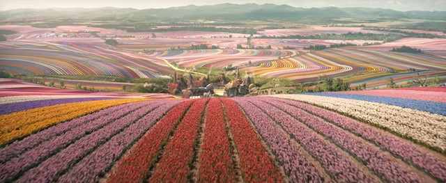 Verdadeira fazenda de tulipas de 'Wicked' se prepara para receber ...