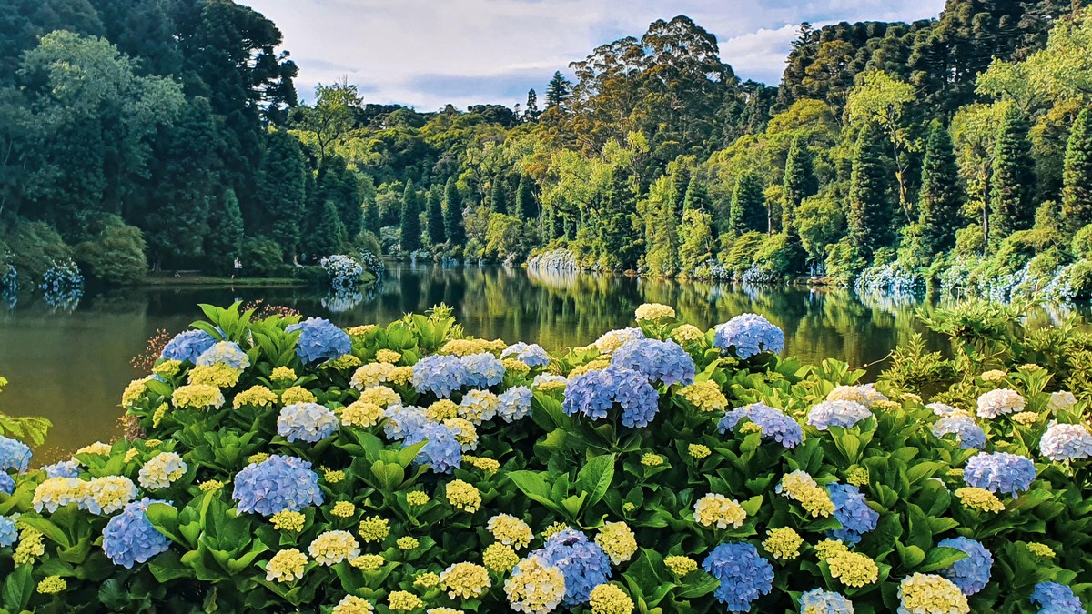 As cidades mais floridas do Brasil