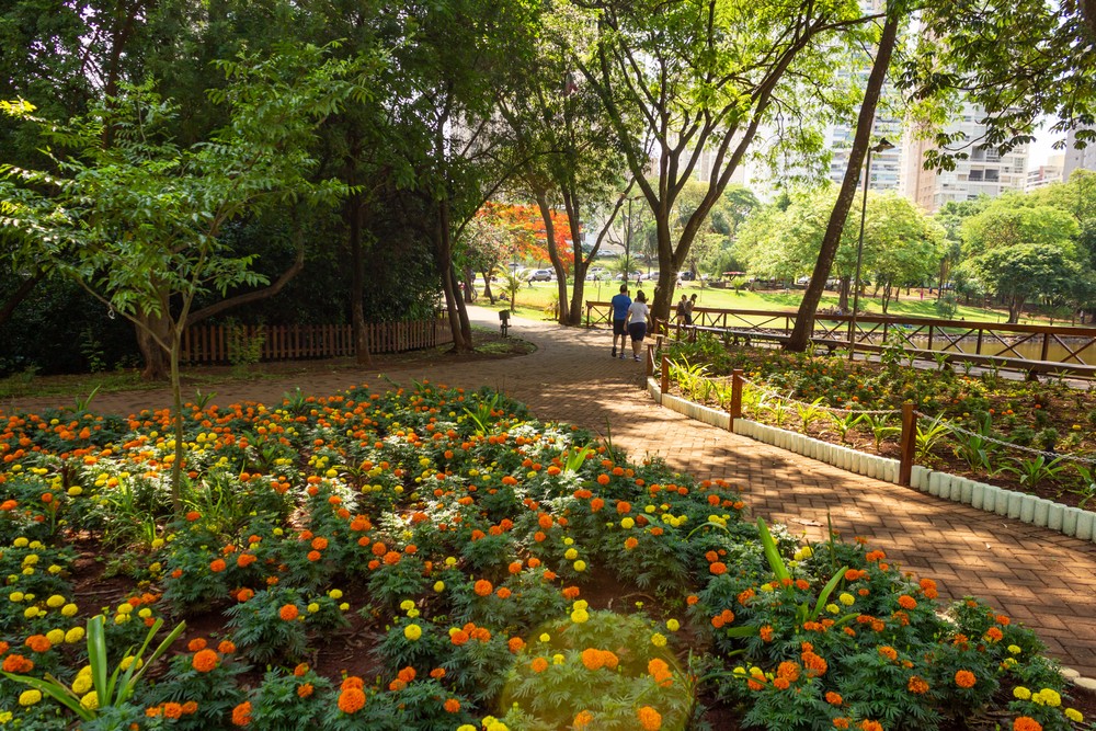 Goiânia é eleita a cidade mais arborizada do mundo pela ONU