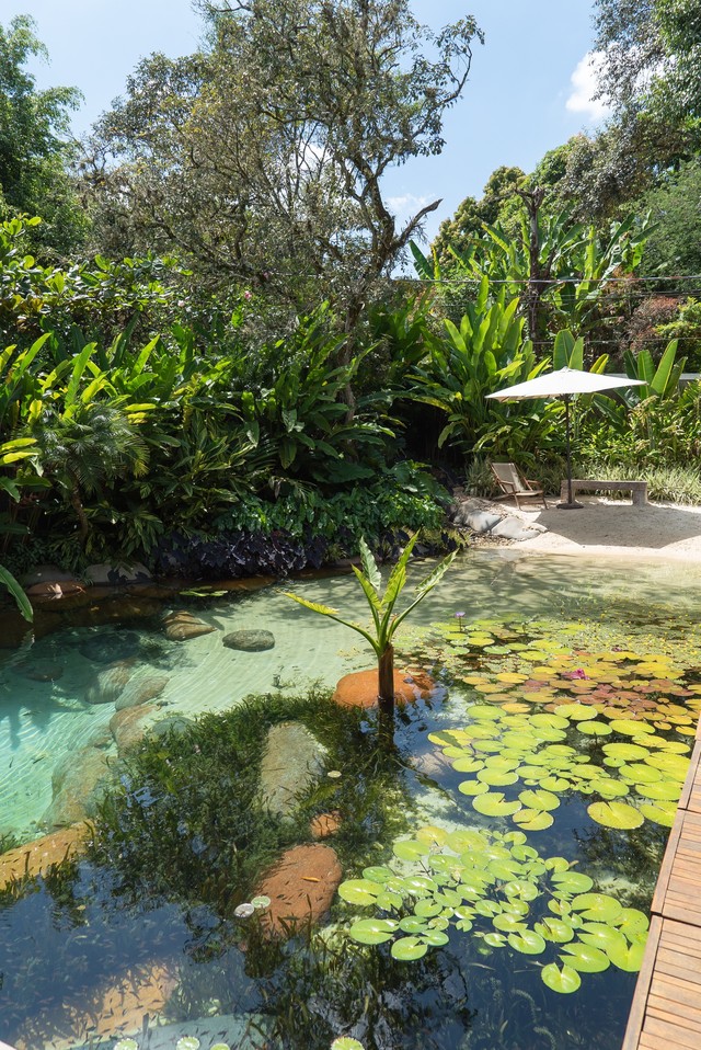 Lago ornamental: tudo que você precisa saber para embelezar seu jardim ...