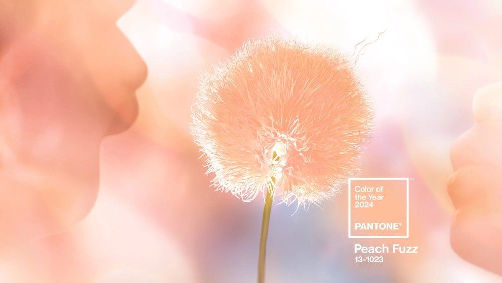 Cor do Ano de 2024 da Pantone é Peach Fuzz