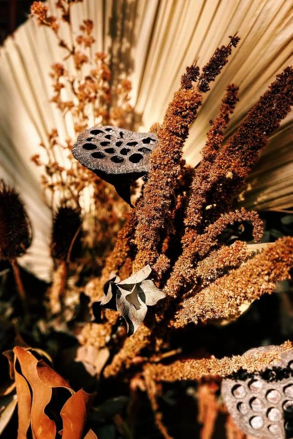 Plantas secas: veja como desidratar flores e folhas em casa