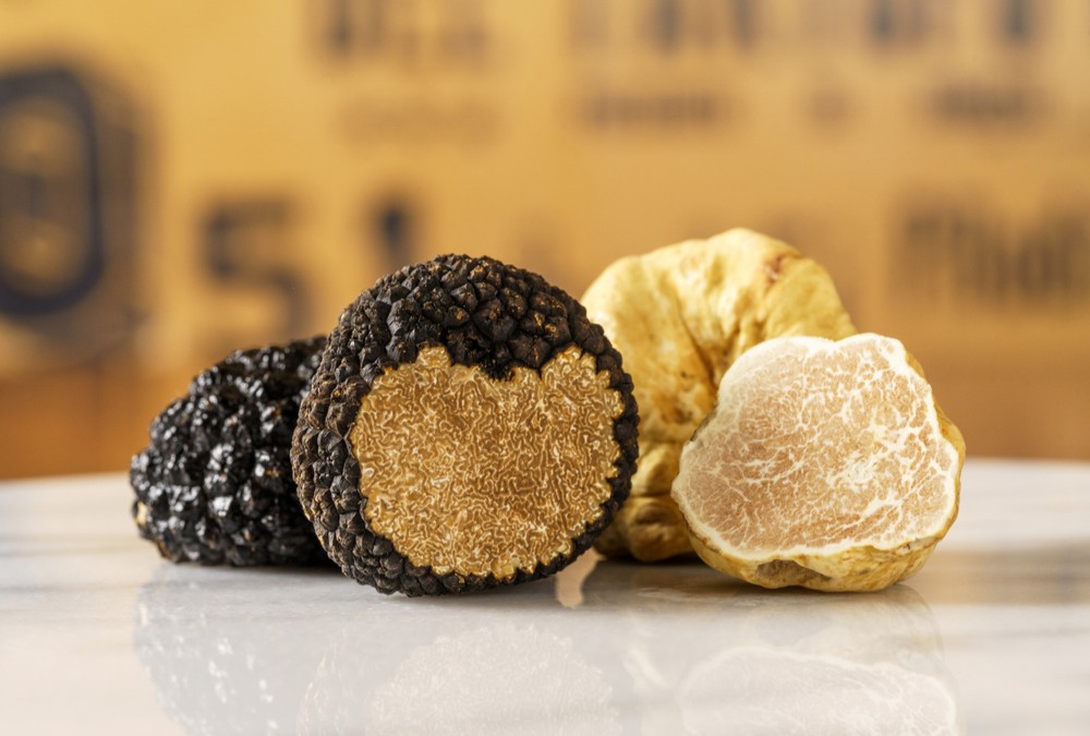 Onde comer bem: 15 novidades gastronômicas para ter no radar em outubro