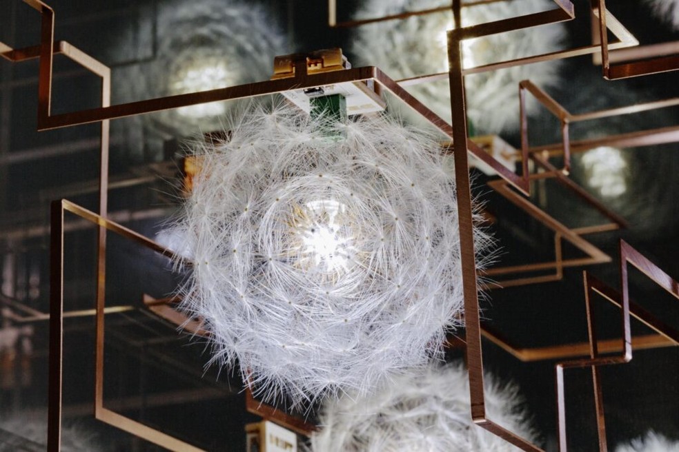 Exposição do Studio Drift chega a São Paulo com obras surpreendentes