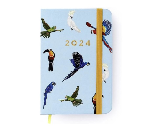 Planner 2024: 9 opções para começar o ano com organização | Shopping ...