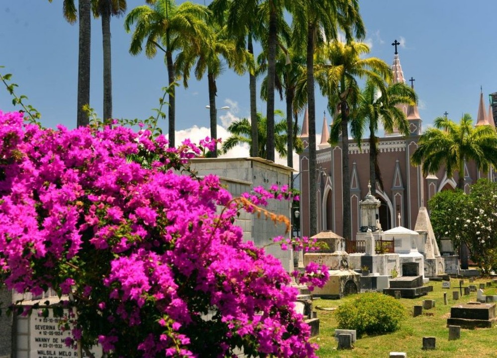 Os 10 maiores cemitérios do Brasil