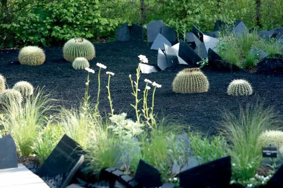 Jardim: conheça todos os estilos