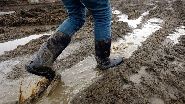 Festival de Natal na Inglaterra é cancelado após viralizar com show de ...