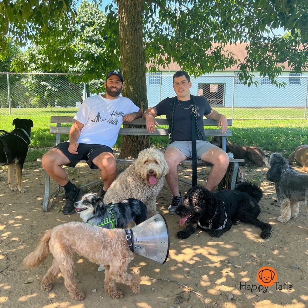 Em NY, creche para cães tem vinho, médium e terapeuta canino por R$ 7,8 ...