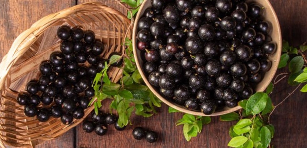 Fruta De Jabuticaba