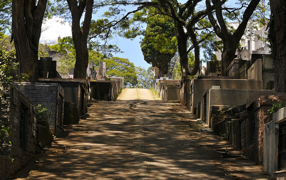 Os 10 maiores cemitérios do Brasil | Curiosidades | Casa Vogue