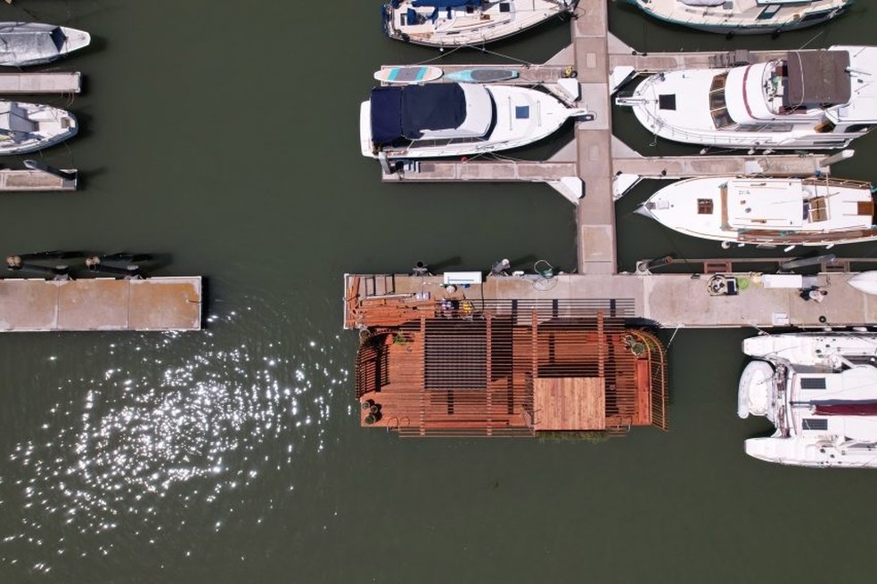 Sauna flutuante é inaugurada na Califórnia; veja detalhes