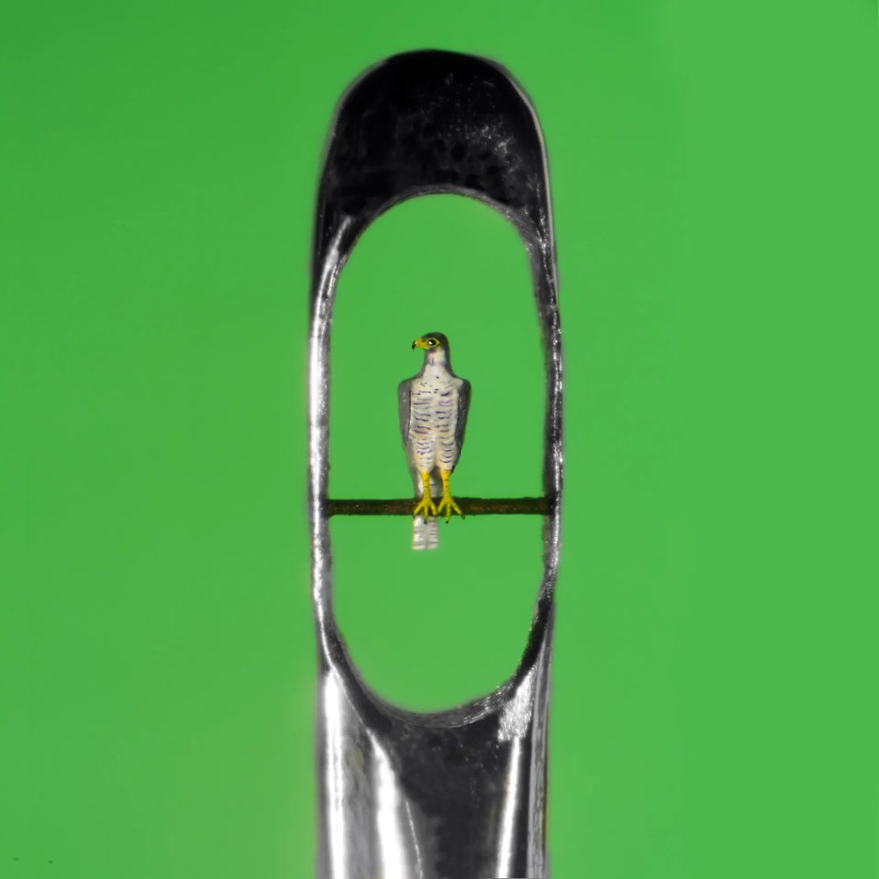 As menores esculturas do mundo cabem no buraco de uma agulha