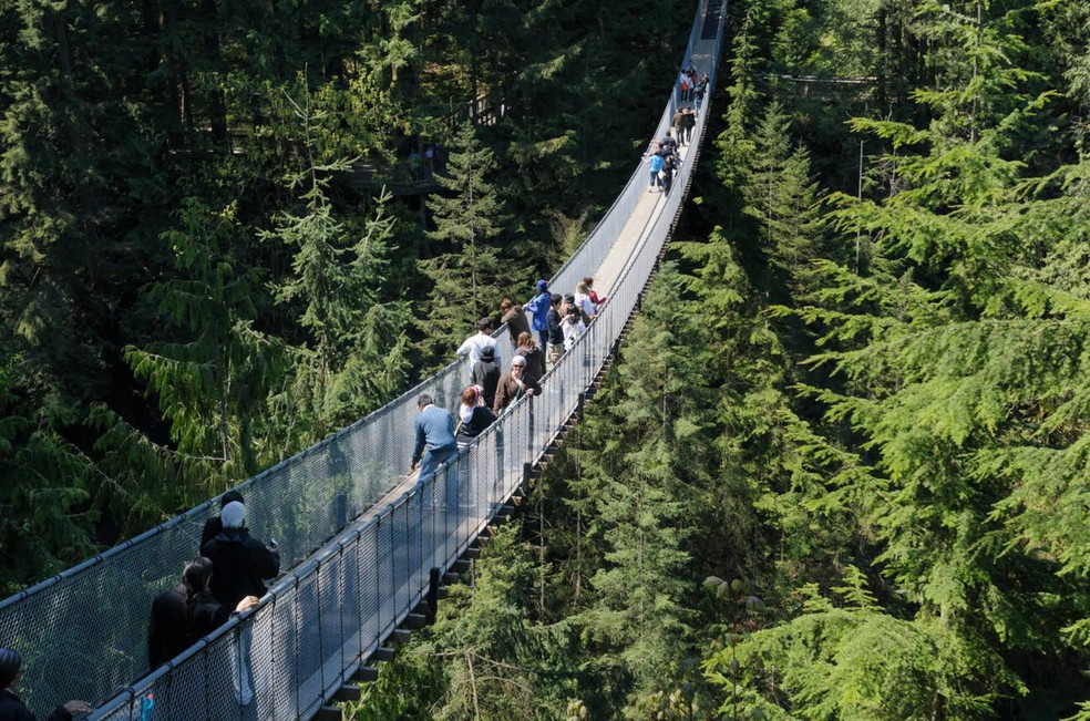 13 pontes suspensas tão impressionantes que causam vertigem