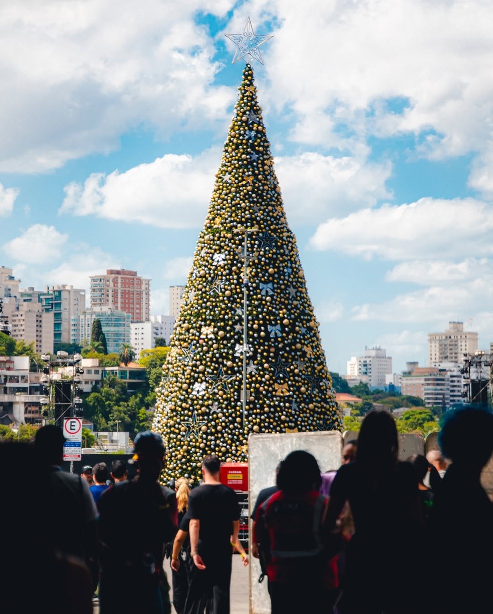 São Paulo ganha árvore de Natal de 21 metros na Praça Charles Miller ...