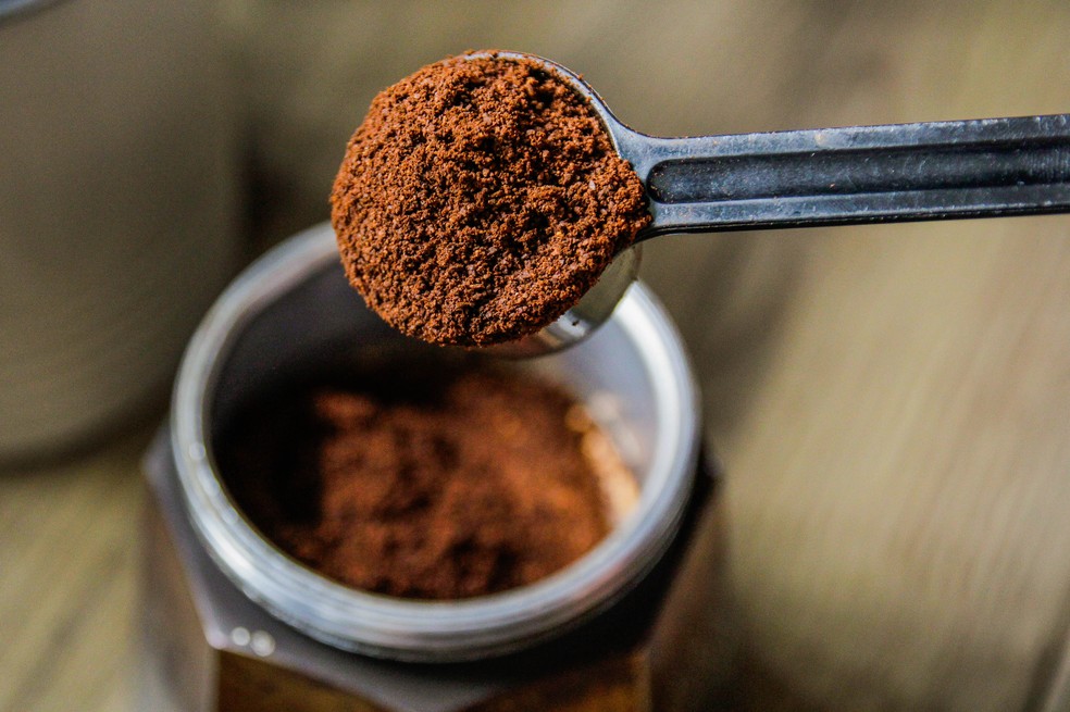 Borra de café serve como adubo para plantas? Descubra mitos e verdades