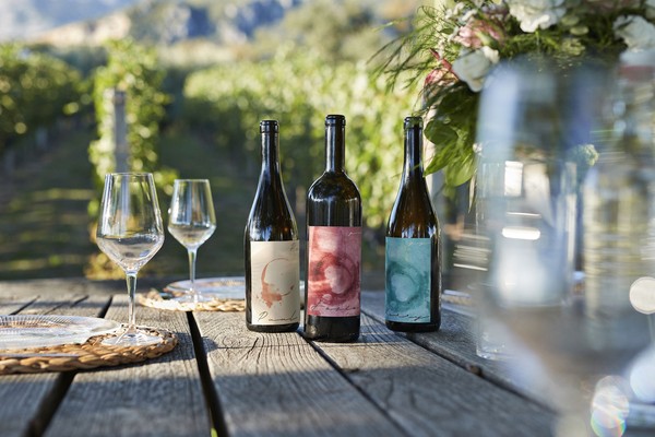 Vinho sem rolha na geladeira estraga? Saiba o que dizem especialistas