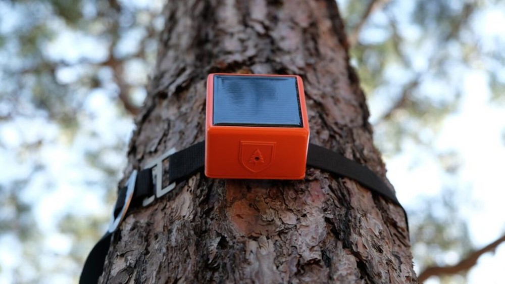 Como estes sensores ajudam salvar florestas de incêndios