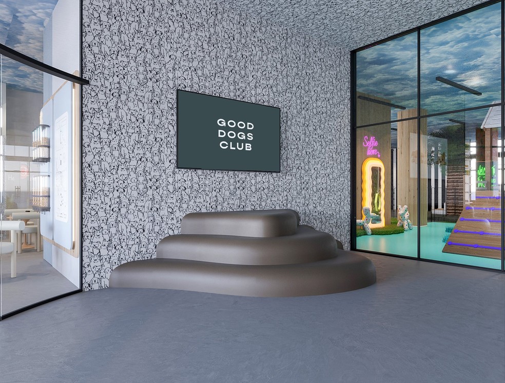 Em NY, creche para cães tem vinho, médium e terapeuta canino por R$ 7,8 ...