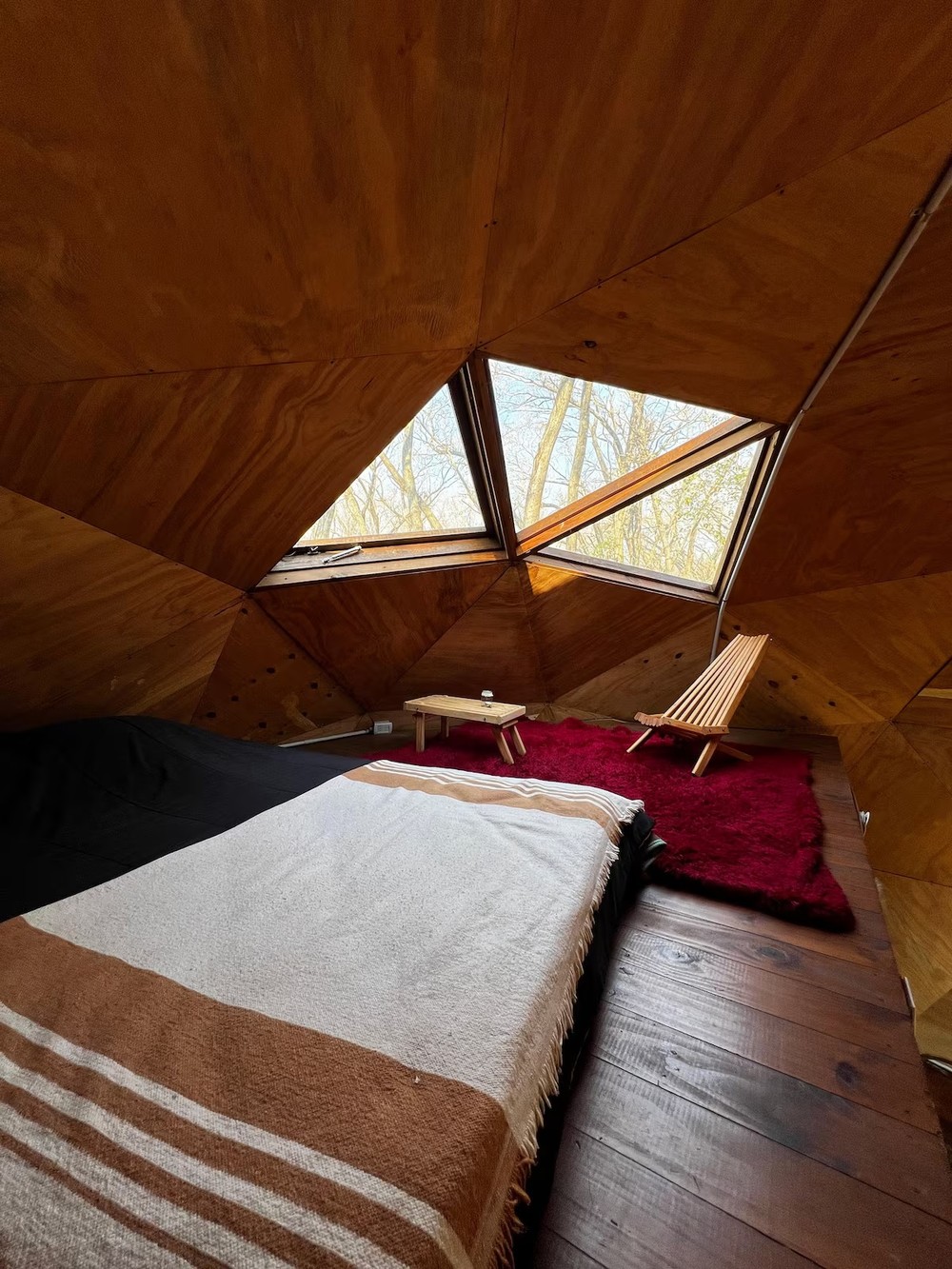 Por dentro da casa esférica em árvore de floresta na Argentina; fotos