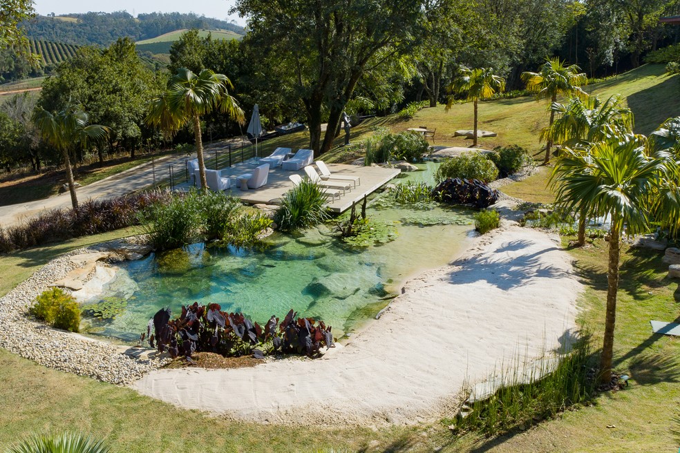 Lago ornamental: tudo que você precisa saber para embelezar seu jardim