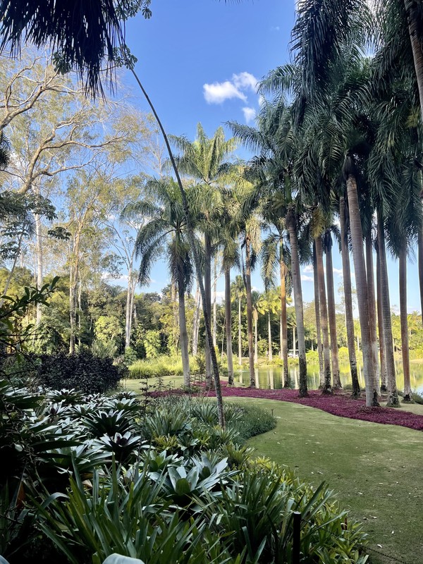 As cidades mais floridas do Brasil